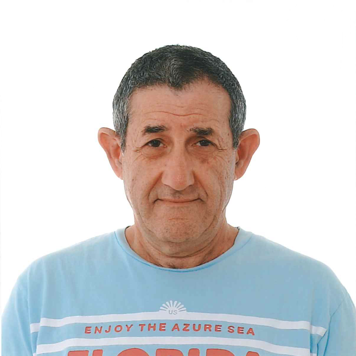 The Impact of Junk Food on Immunity – ISSP: International School of ...